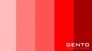 Màu đỏ là gì? Ý nghĩa của màu đỏ trong cuộc sống & thời trang